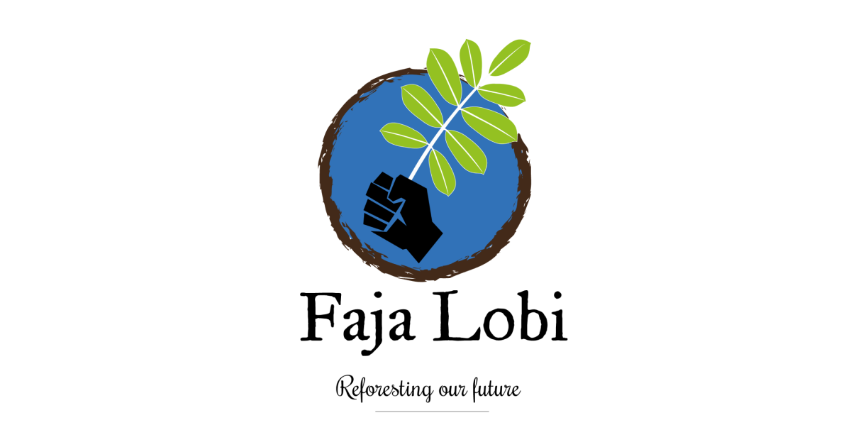 Accueil - Faja Lobi Reforesting our future! - Faja Lobi - Reforesting ...